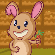 Animal Games | Amazing Adventures | Math Playground